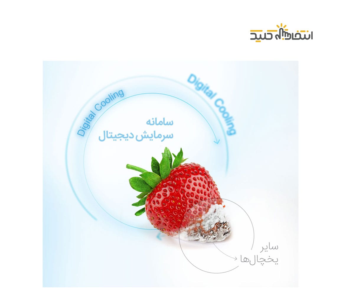 یخچال ساید بای ساید دوو مدل D2S-3133MW | فروشگاه اینترنتی انتخاب کلیک بورس آنلاین لوازم خانگی ...